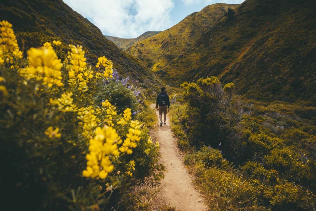 7 Hikes to Take Your Breath Away in Monterey County | See Monterey ...