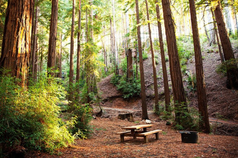 Top 10 Day Hikes in Monterey | See Monterey County, CA