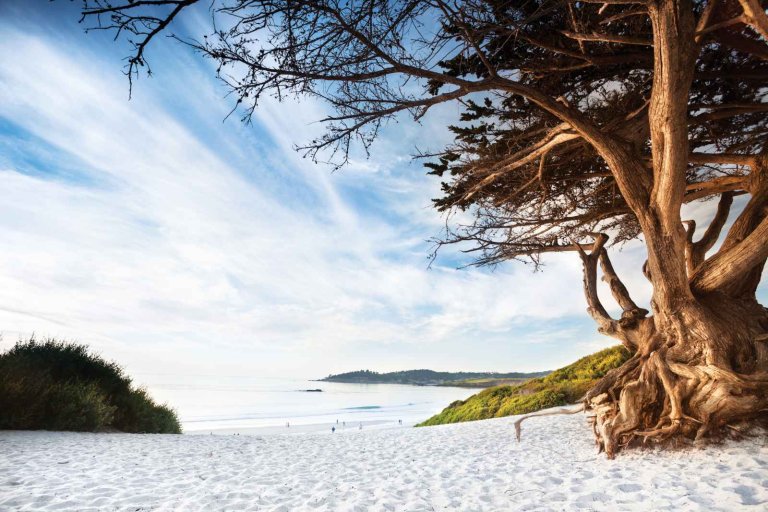 Plan a Carmel Valley to Carmel by the Sea Road Trip