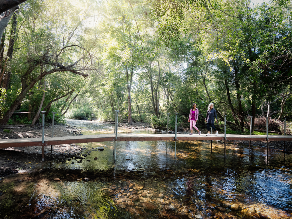 Carmel Valley: Discover Amazing Things to Do in Carmel Valley