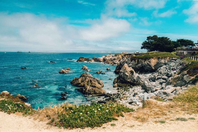 Visit the Monterey Bay Aquarium on Your Next Trip