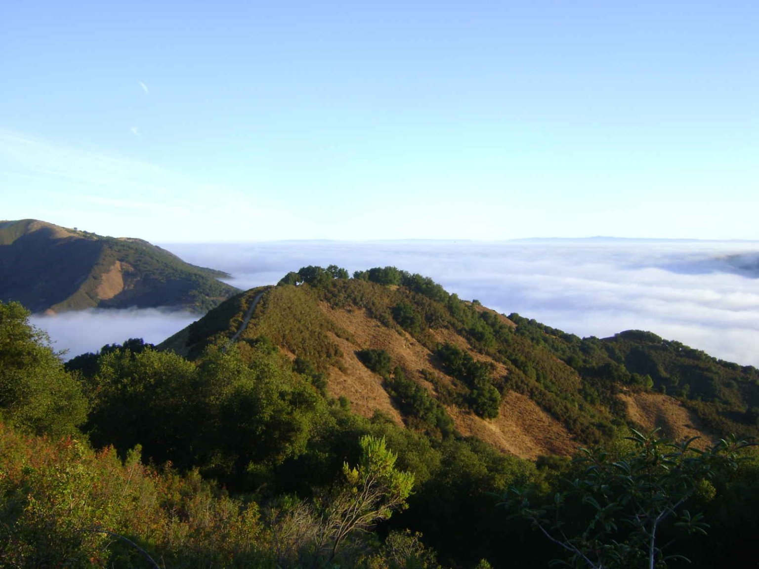 Plan a Carmel Valley to Carmel by the Sea Road Trip