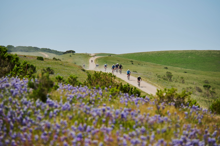 Discover the Top 10 Monterey Hikes on Your Next Day Trip