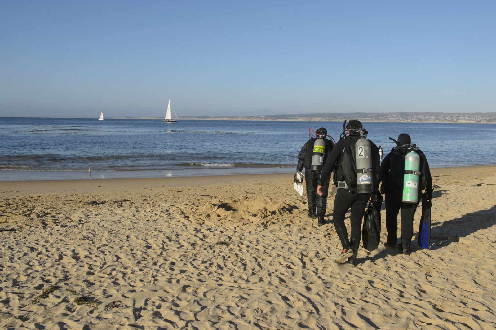 Monterey Scuba Diving | See Monterey County, CA