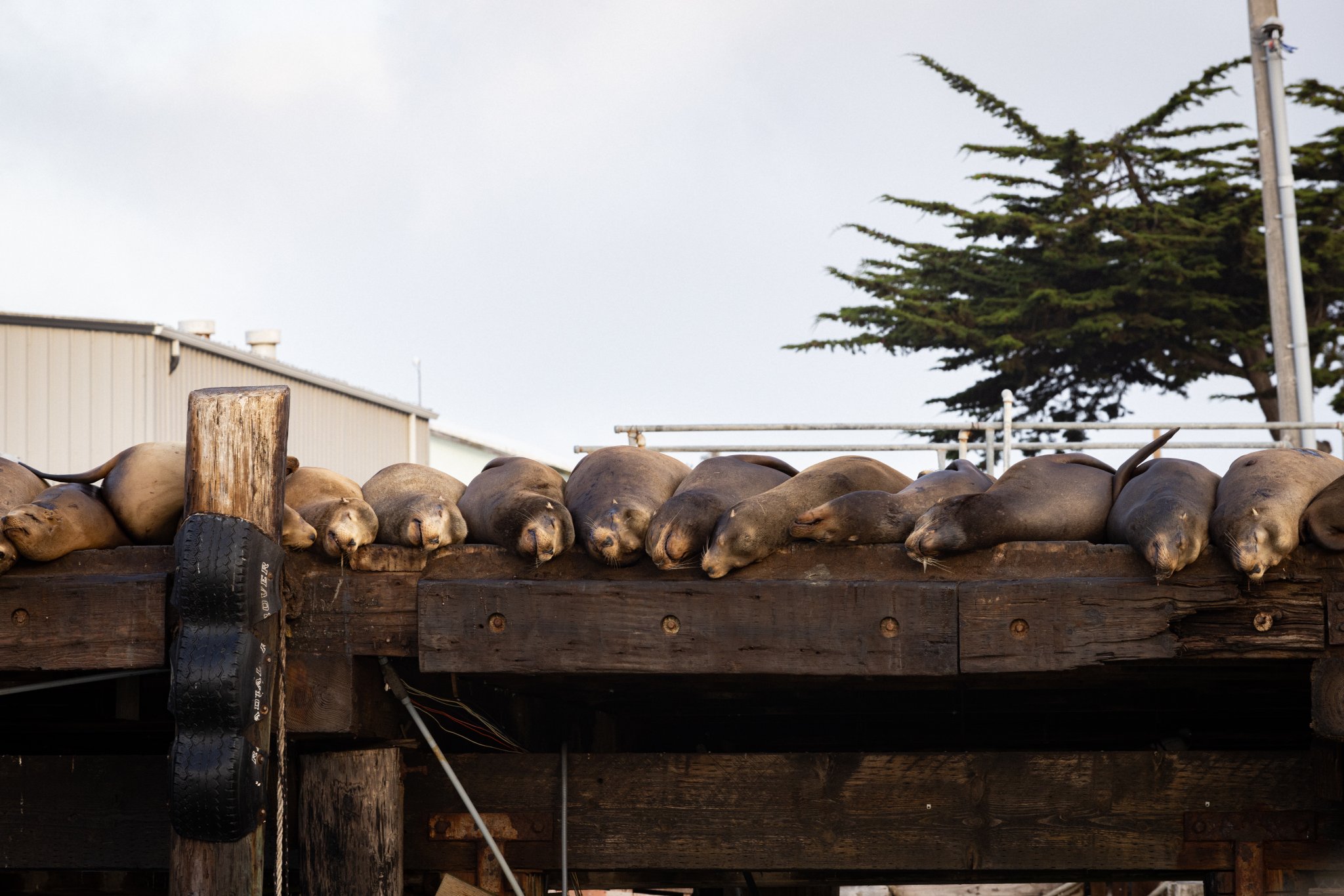 2 Days in Moss Landing | See Monterey County, CA