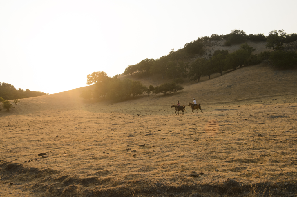Discover Salinas Valley in South Monterey County California