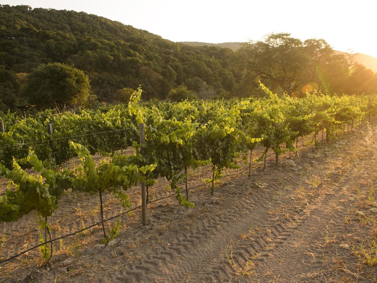 Discover Salinas Valley in South Monterey County California