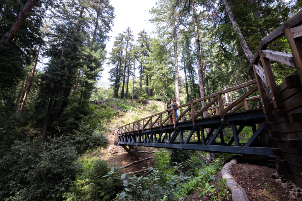 A Scented Itinerary Through Big Sur, California | See Monterey County, CA