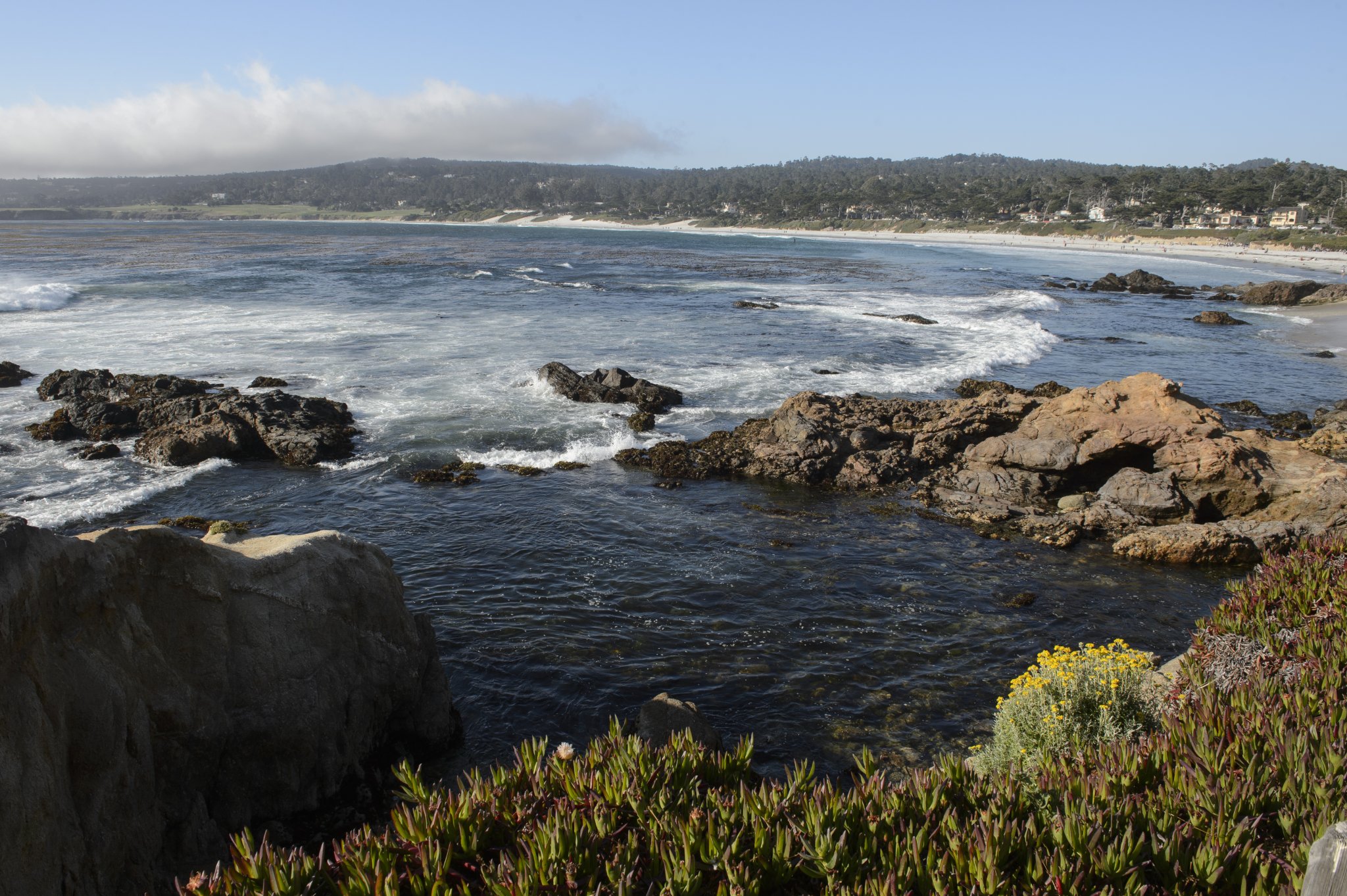 Free Things to Do in Monterey from Beaches to Scenic Drives