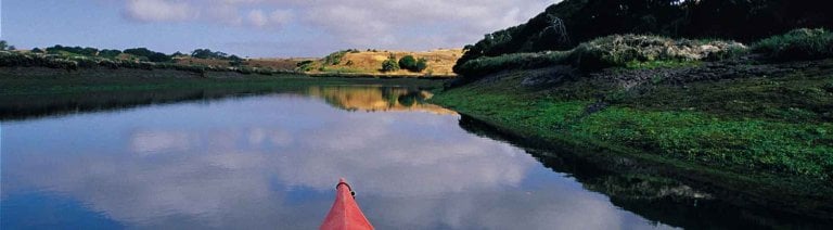 Explore Monterey Kayaking and Where to Rent Monterey Bay Kayaks