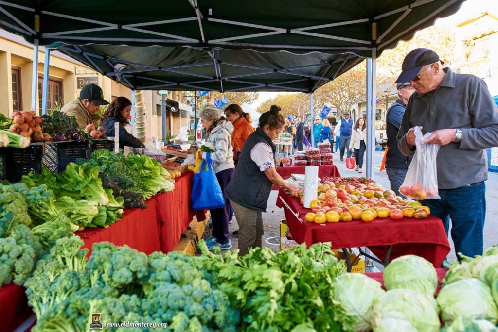 7 Reasons to Visit Monterey This Winter | See Monterey County, CA