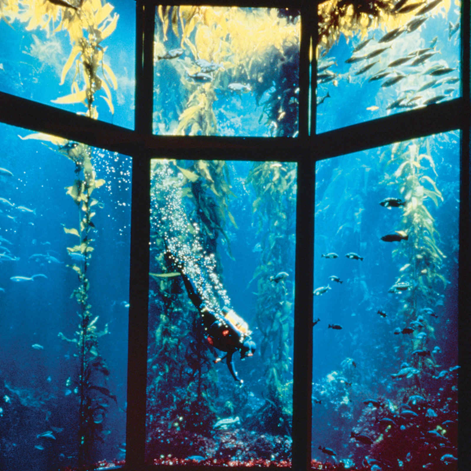 Top Reasons to Book Monterey | See Monterey County, CA